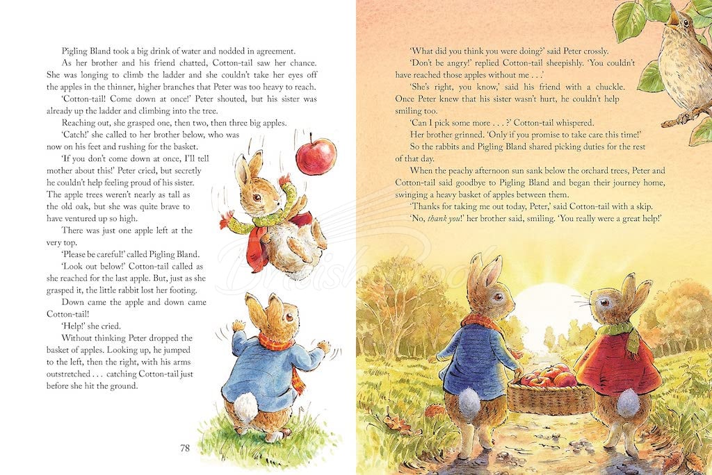 Книга Peter Rabbit: Tales from the Countryside - купити за 612,00 грн ...