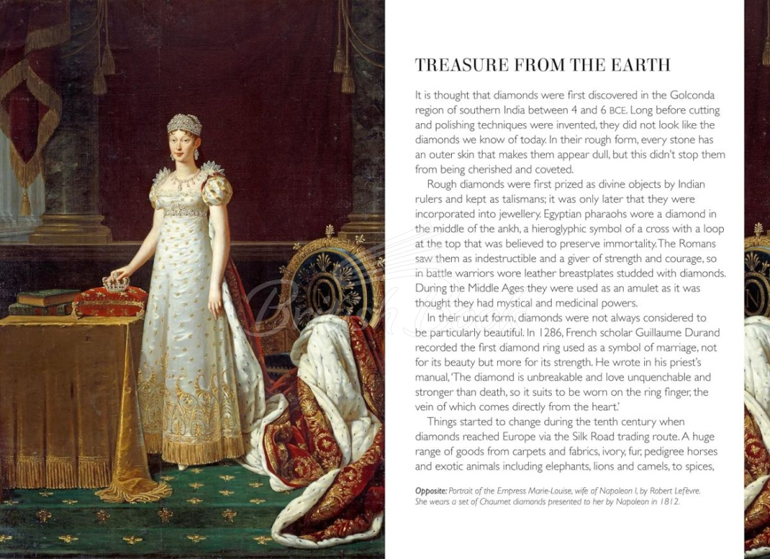 Книга The Story of the Diamond от автора Tamara Sturtz-Filby купить в ...