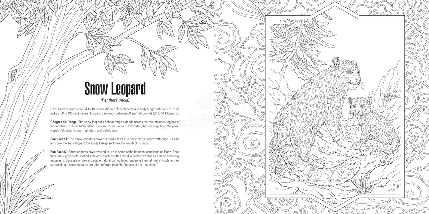 Книга Cats: A Smithsonian Coloring Book від автора Rachel Curtis купити ...