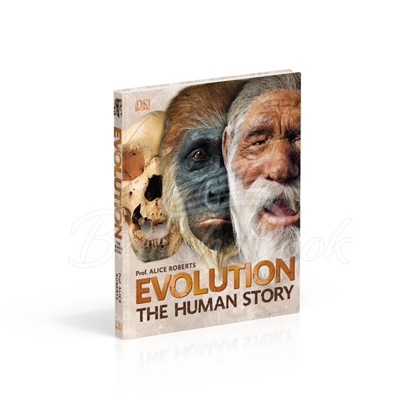 Книга Evolution: The Human Story - купити за 1 260,00 грн., ISBN ...