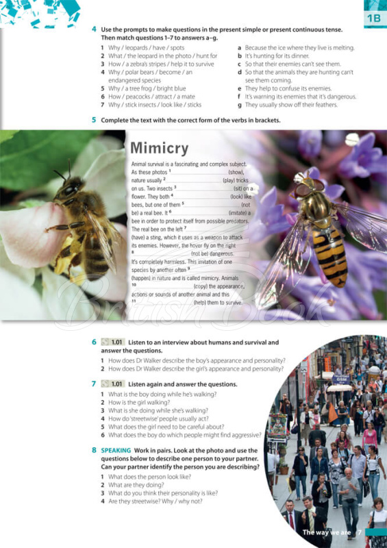 Підручник Insight Intermediate Student's Book від автора Jayne Wildman ...