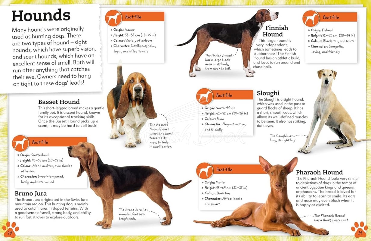 Книга My Book of Dogs and Puppies купити в BritishBook | ISBN 9780241598320