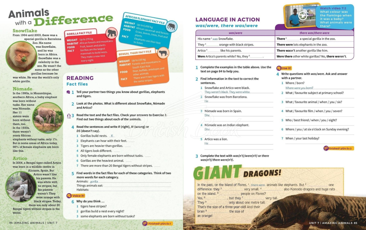 Підручник Own It! 1 Student's Book with Practice Extra від автора ...