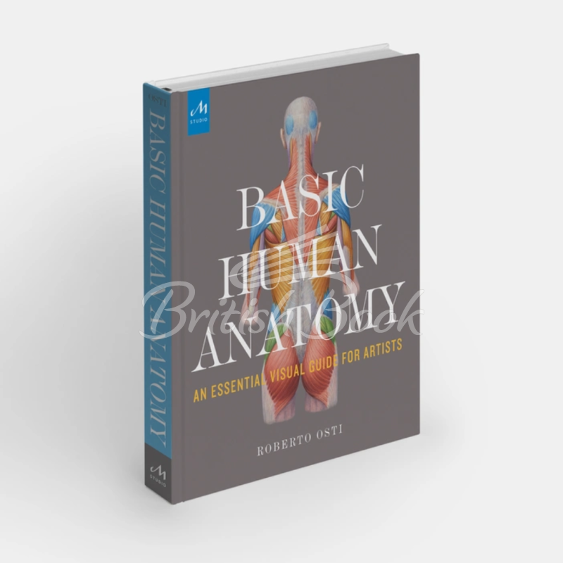Книга Basic Human Anatomy: An Essential Visual Guide for Artists від автора Roberto Osti купити ...
