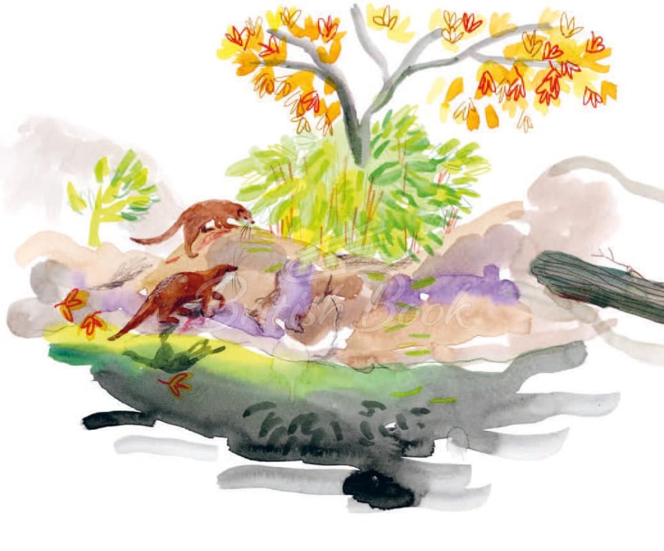 Книга Animal Art: 101 Creative Activities to Inspire and Guide You від ...