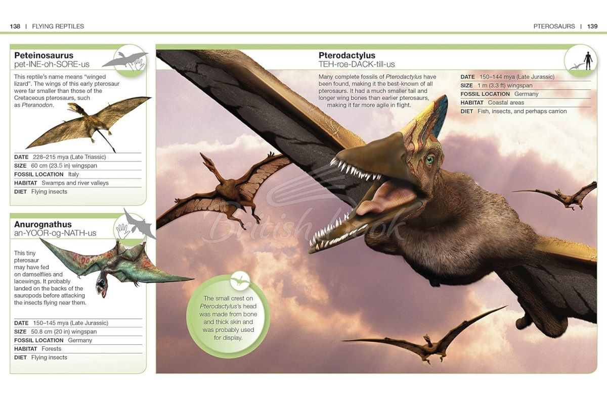 Книга Dinosaurs - купити за 226,00 грн., ISBN 9780241343654 ...