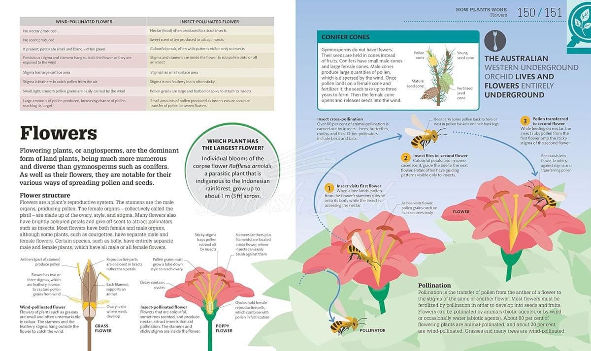 Книга How Biology Works купити в BritishBook | ISBN 9780241600962