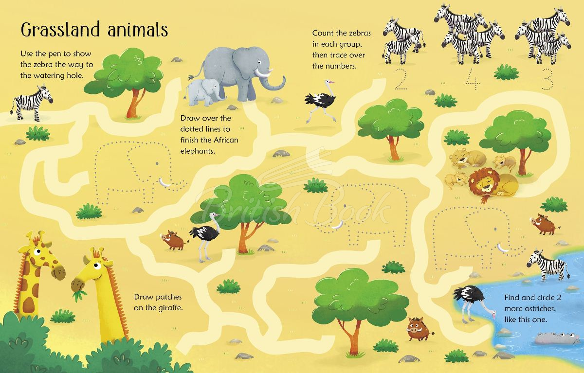 Книга Wipe-Clean Animal Activities від автора Kirsteen Robson, Manuela ...