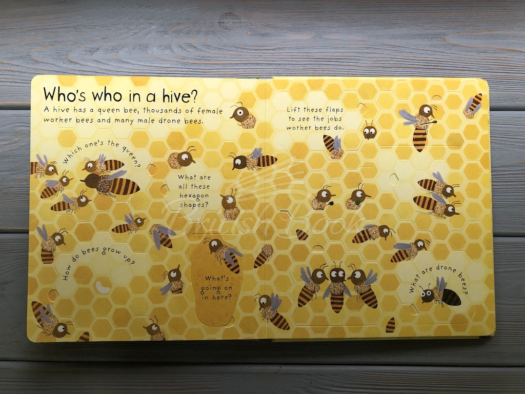 Книга Lift-the-Flap First Questions and Answers: Why Do We Need Bees ...
