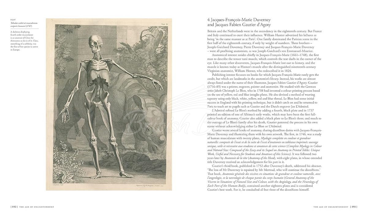 Книга The Anatomists' Library: The Books that Unlocked the Secrets of the Human Body - купити за ...