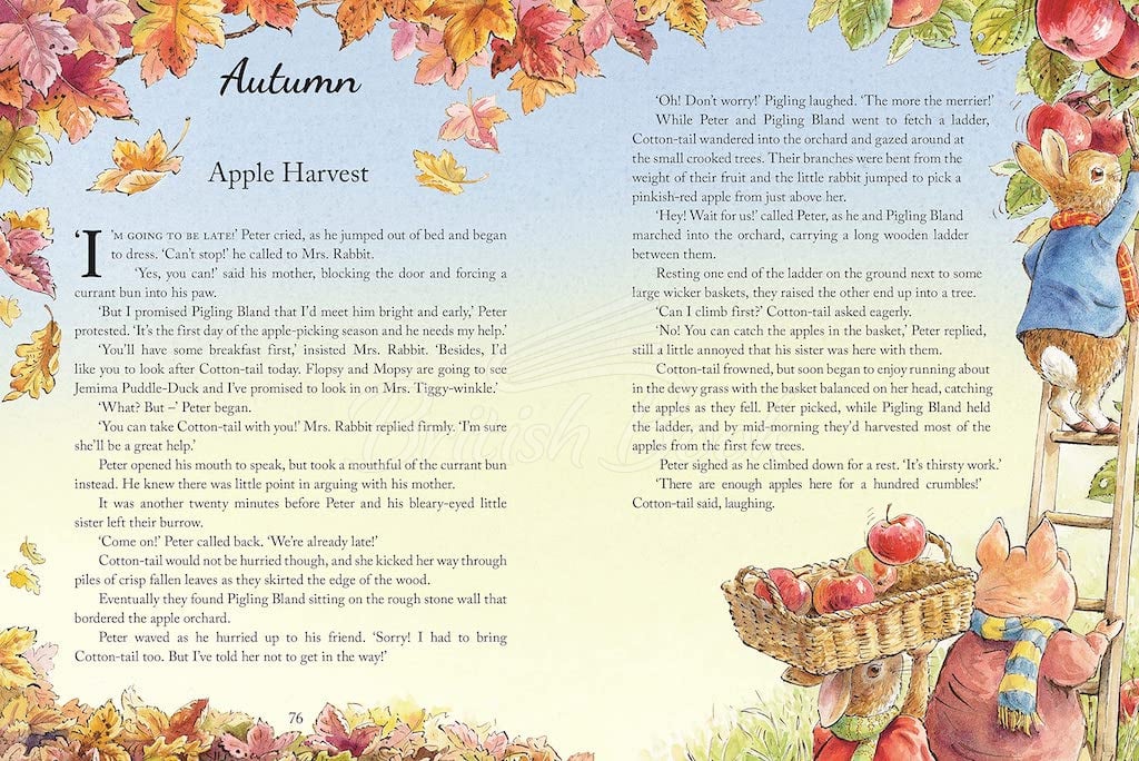 Книга Peter Rabbit: Tales from the Countryside - купити за 612,00 грн ...