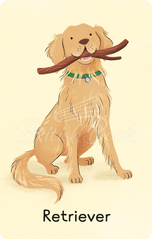 Dogs Snap купить в BritishBook | ISBN 9781836040910