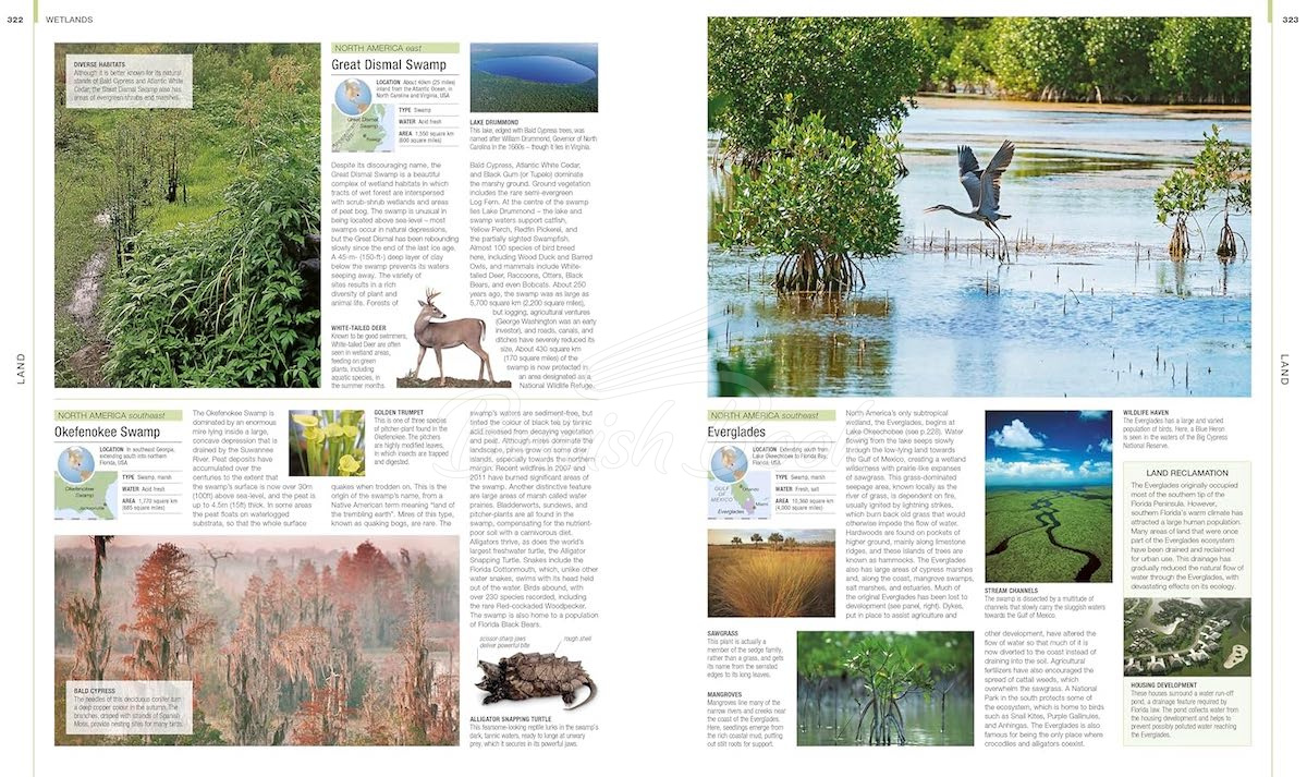 Книга Earth: The Definitive Visual Guide - купити за 1 764,00 грн ...