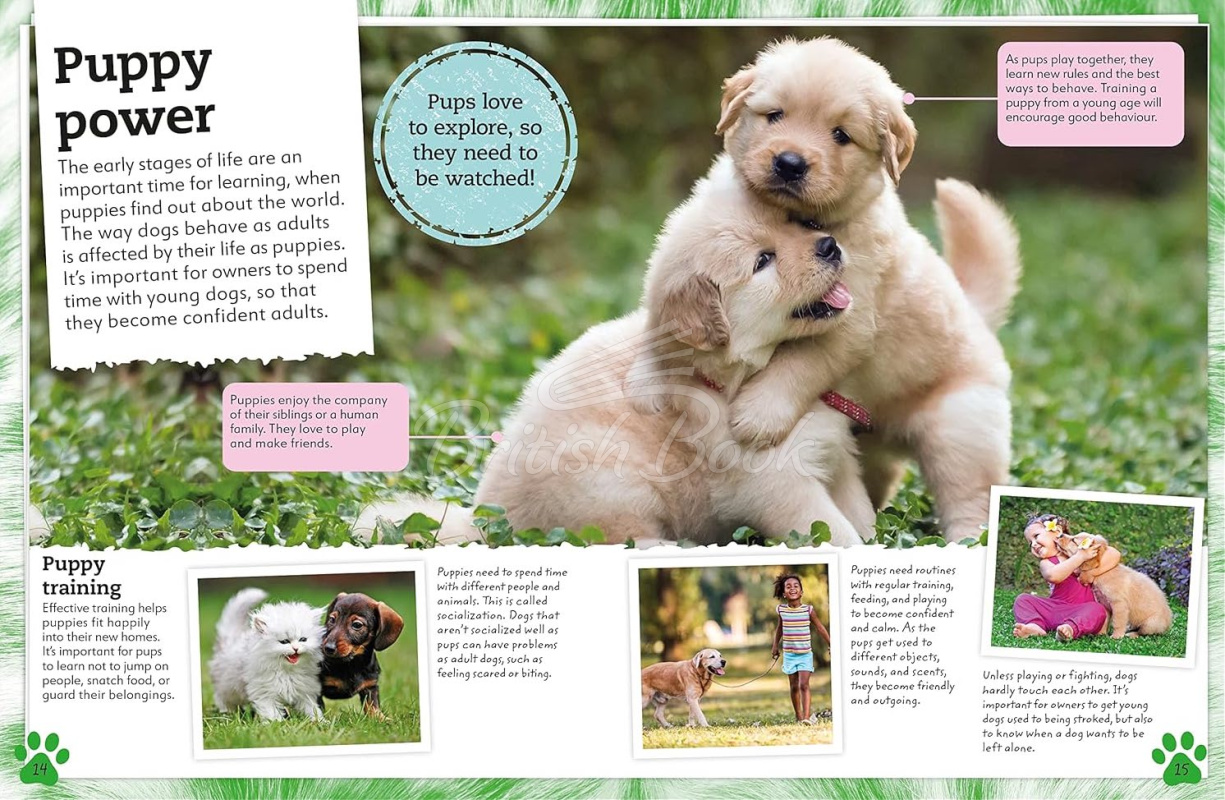 Книга My Book of Dogs and Puppies купити в BritishBook | ISBN 9780241598320