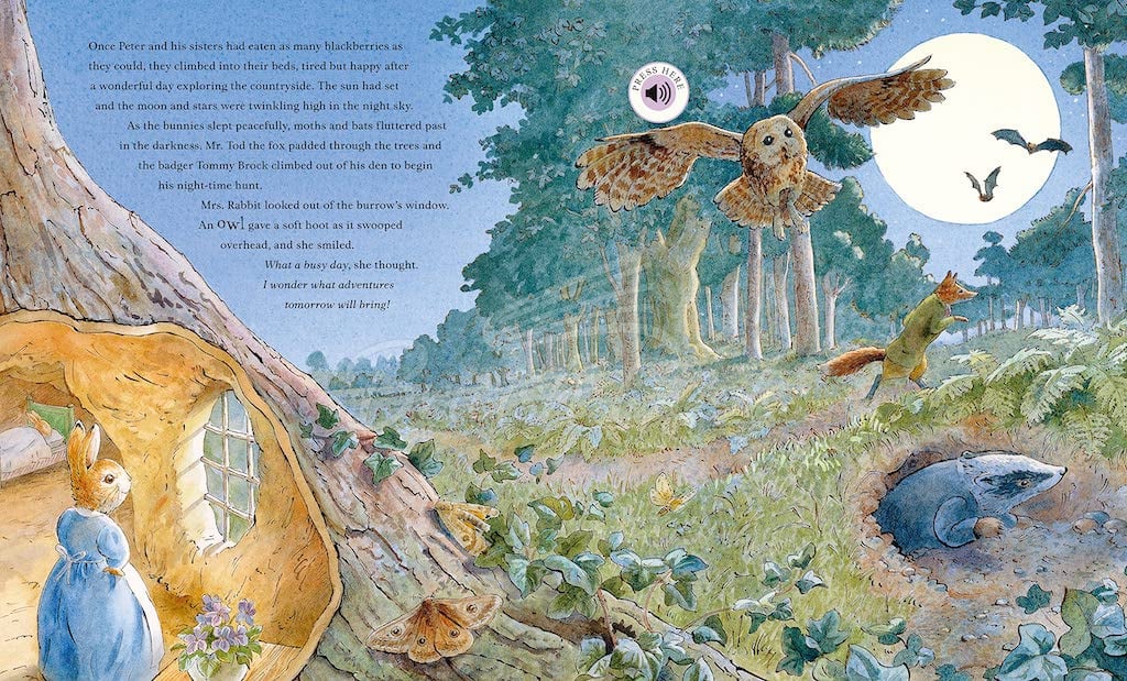 Книга Peter Rabbit: Peter's Nature Walk від автора Beatrix Potter ...