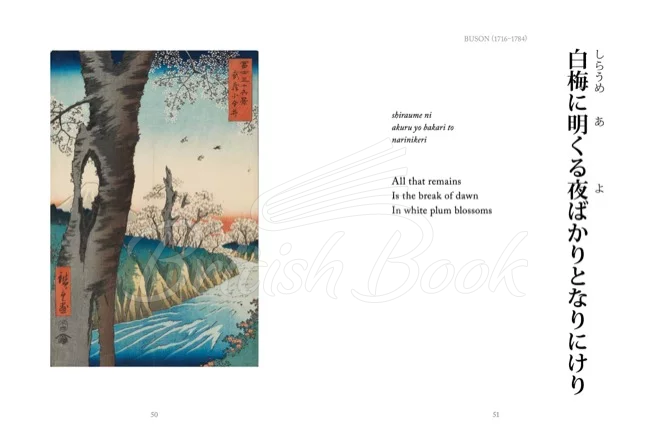 Книга Haiku Illustrated - купити за 1 486,00 грн., ISBN 9781838860431 ...