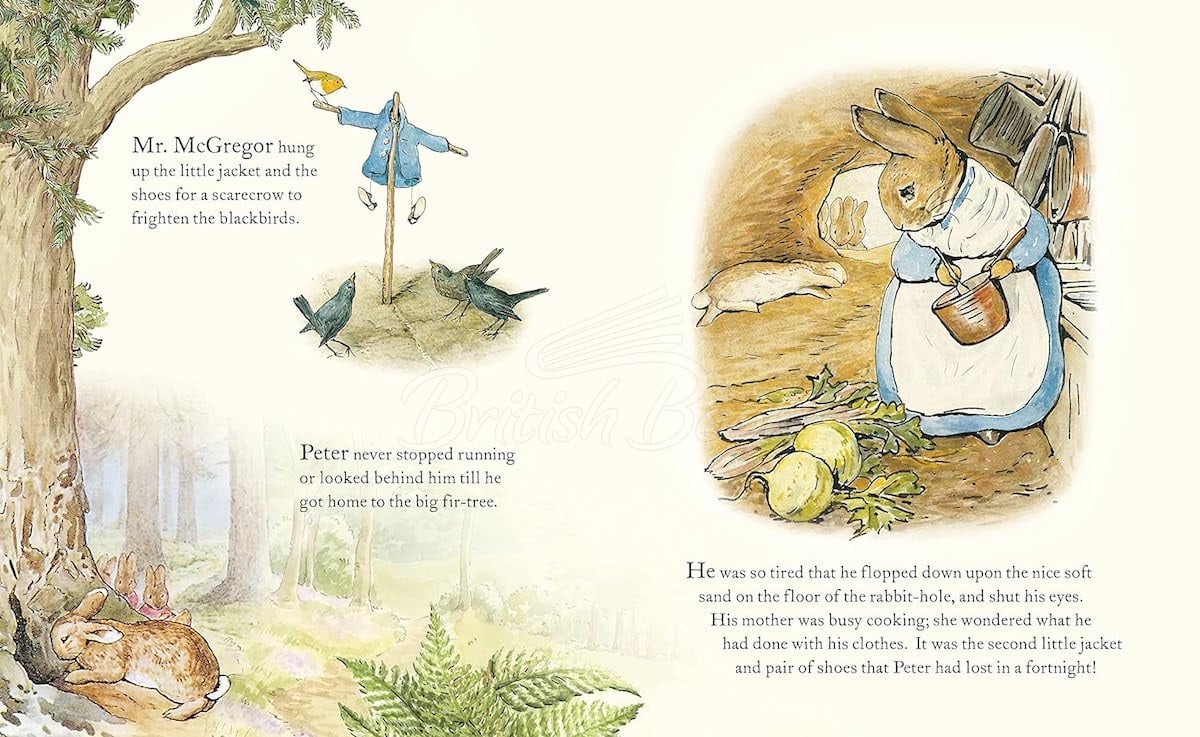 Книга The Tale of Peter Rabbit (A Picture Book Edition) від автора ...