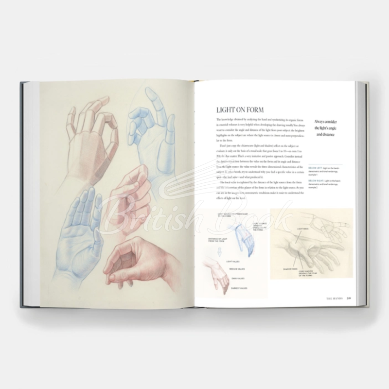 Книга Dynamic Human Anatomy: An Artist's Guide to Structure, Gesture ...
