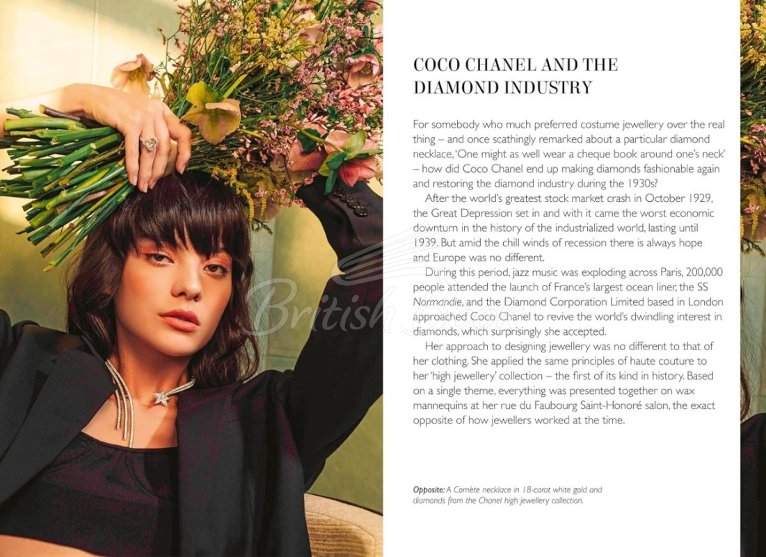 Книга The Story of the Diamond от автора Tamara Sturtz-Filby купить в ...