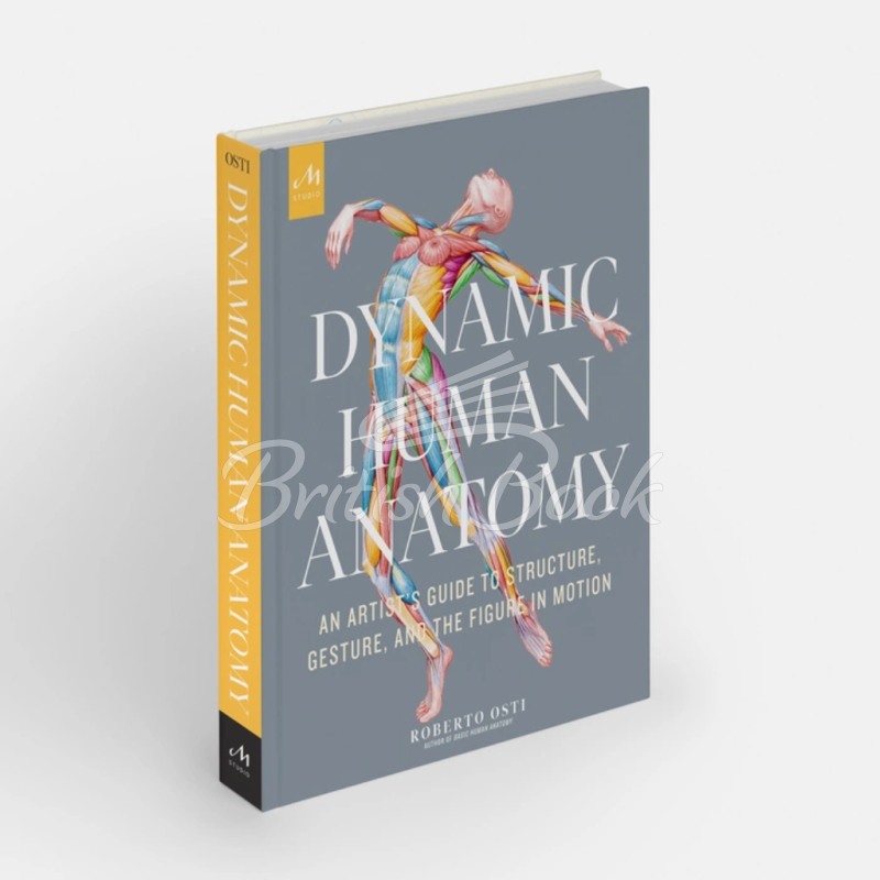 Книга Dynamic Human Anatomy: An Artist's Guide to Structure, Gesture ...
