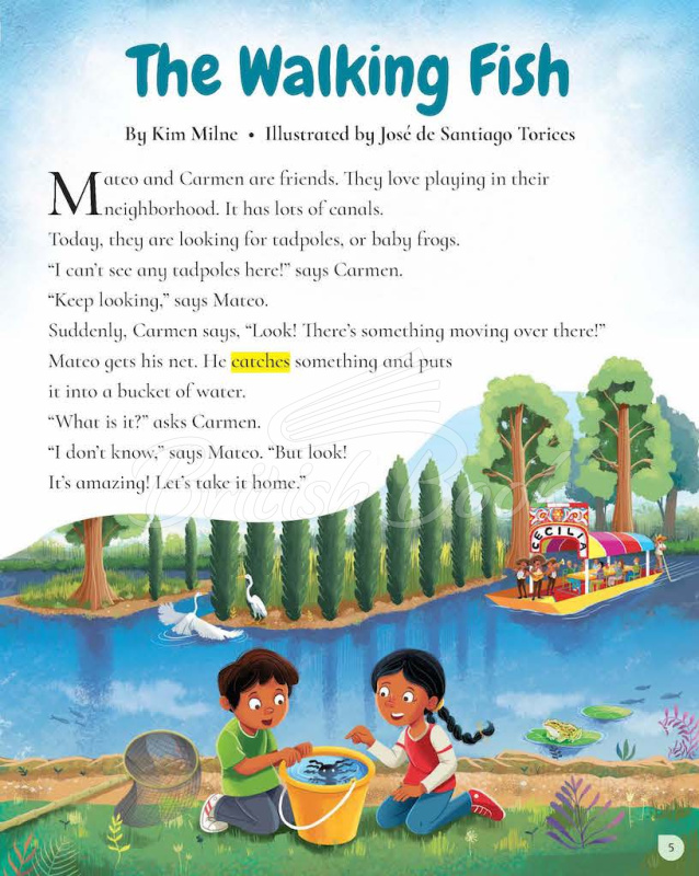 Учебник Cambridge Primary Reading Anthologies 2 Student's Book with ...