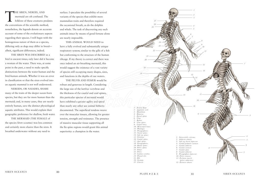 Книга The Resurrectionist від автора E. B. Hudspeth купити в ...