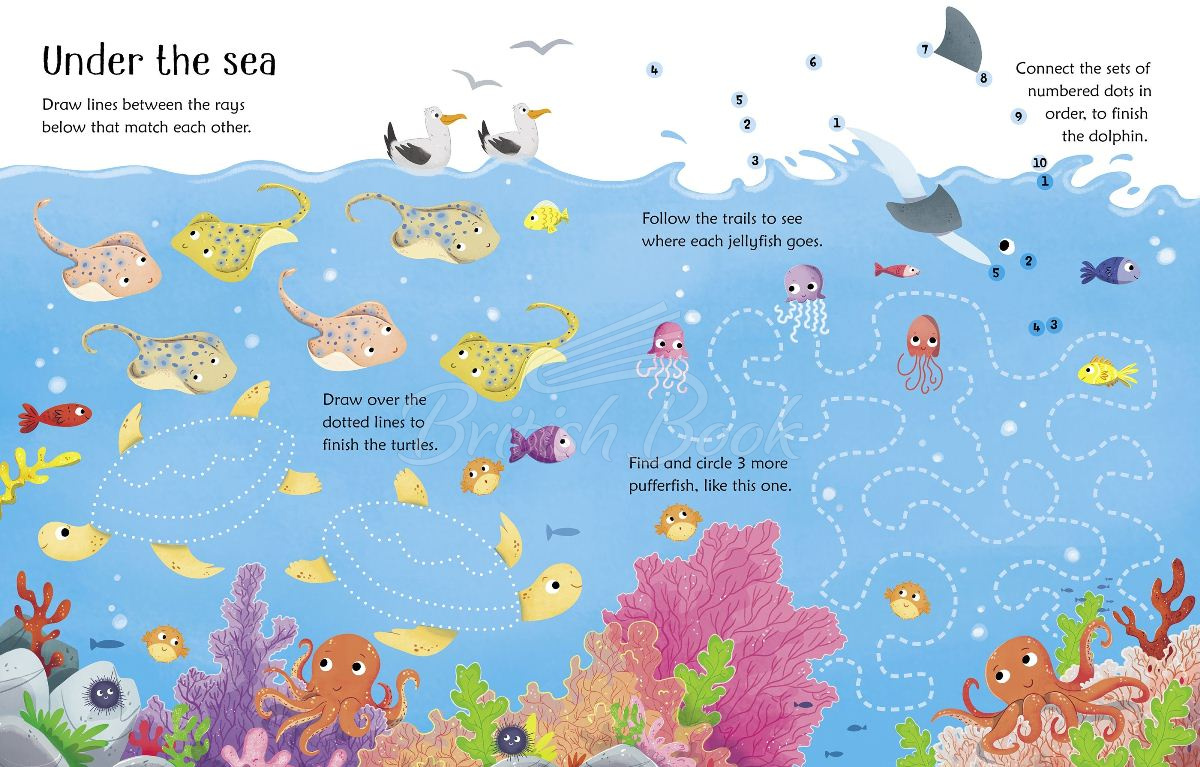 Книга Wipe-Clean Animal Activities від автора Kirsteen Robson, Manuela ...