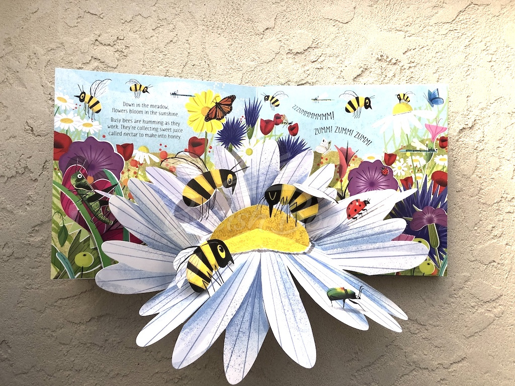 Книга Pop-Up Nature від автора Anna Milbourne, Julio Antonio Blasco ...