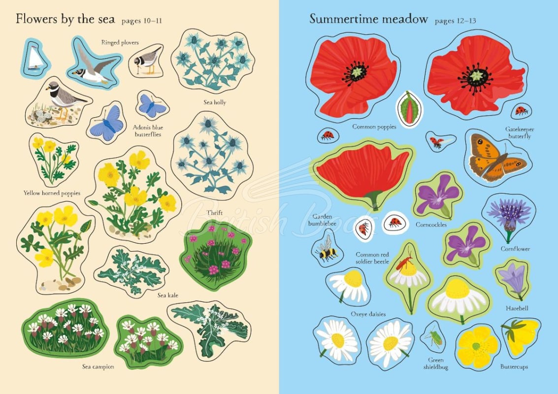 Книга Little First Stickers: Wildflowers від автора Ccaroline Young ...