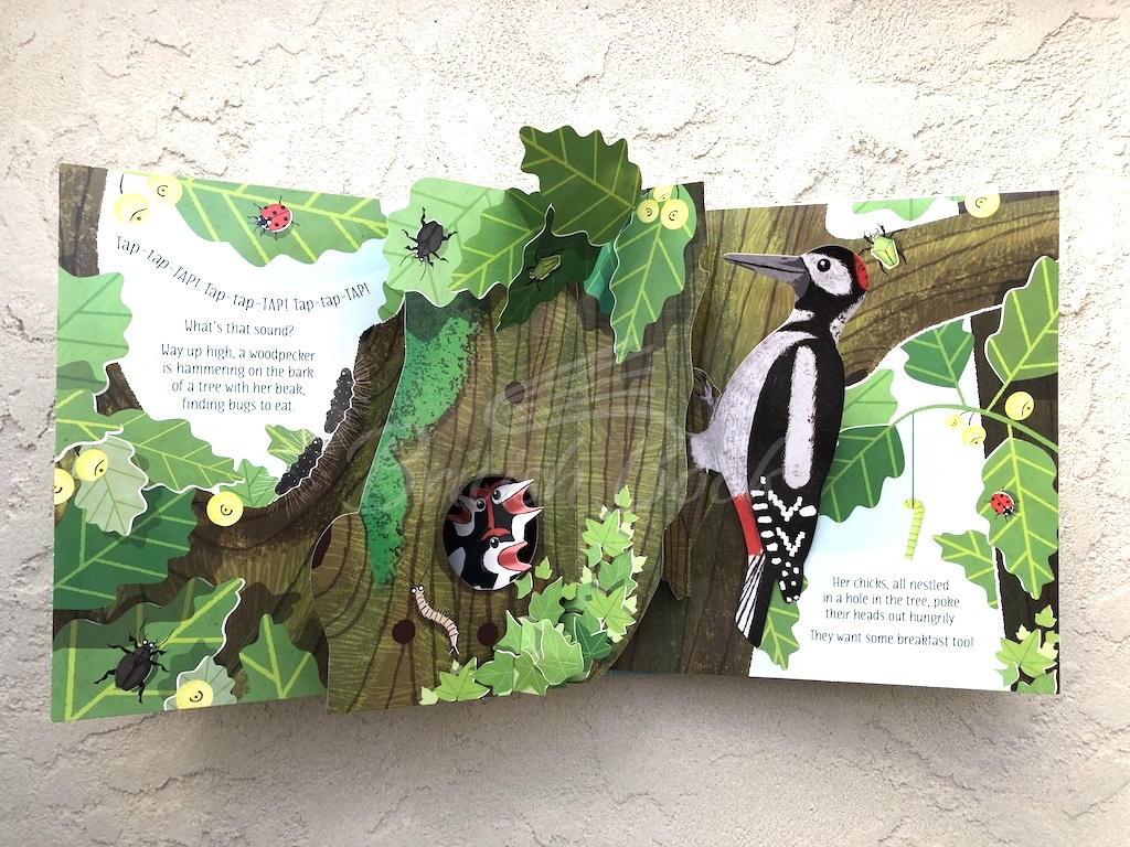 Книга Pop-Up Nature від автора Anna Milbourne, Julio Antonio Blasco ...